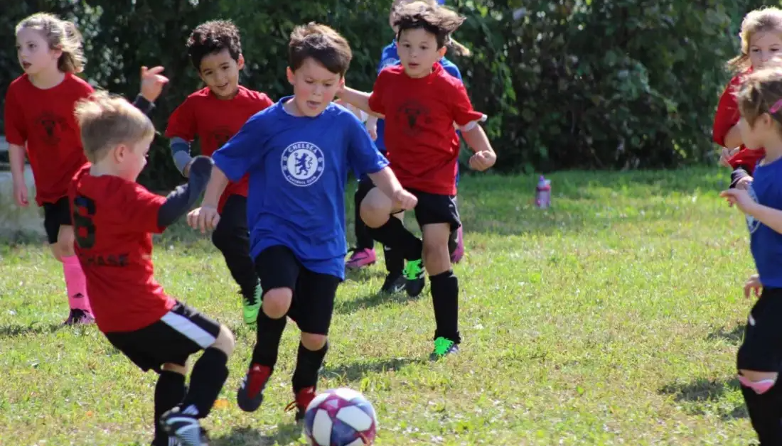 3 ways to ‘Rafflebox’