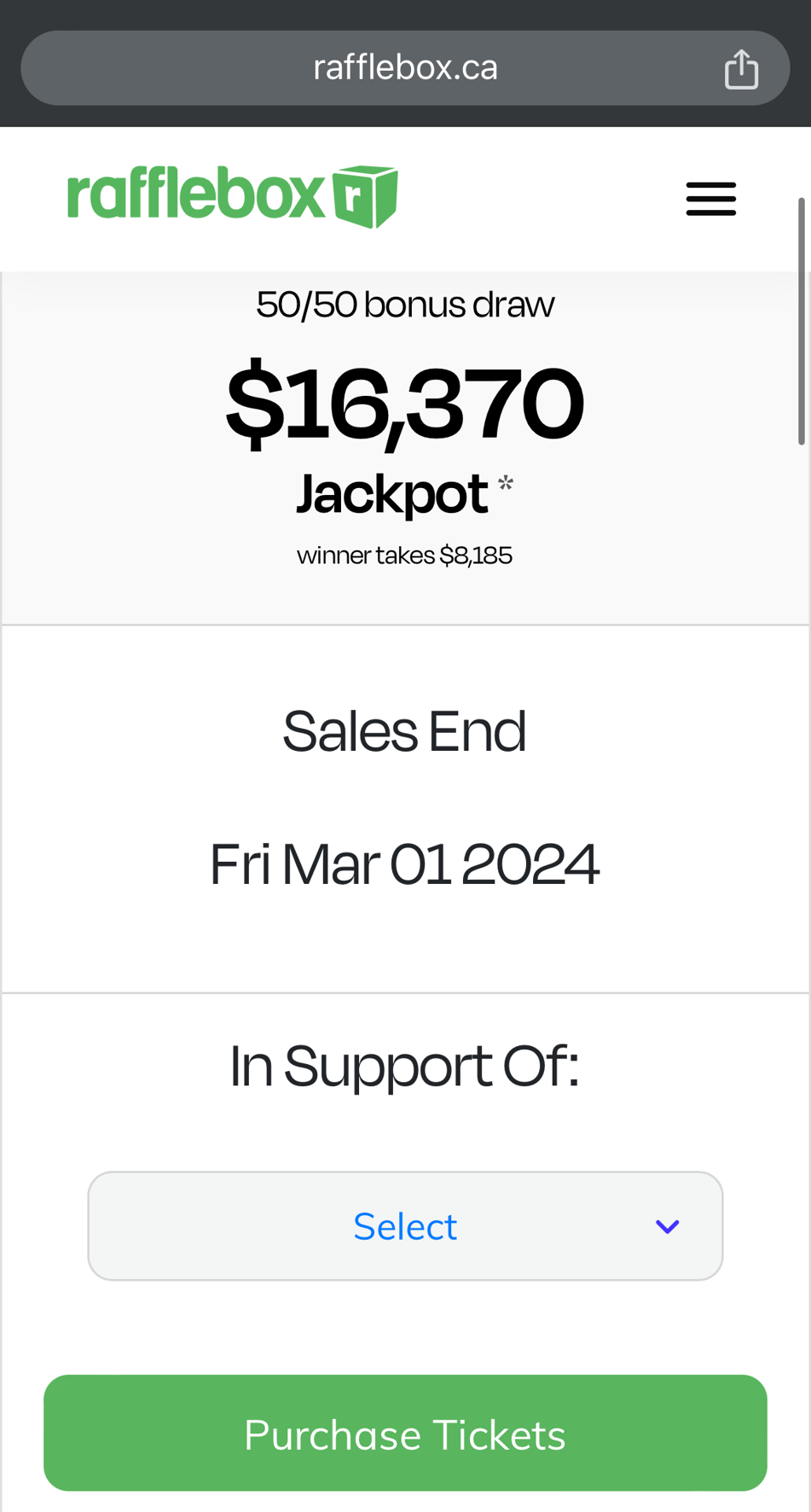 What type of raffle fundraiser should you run?