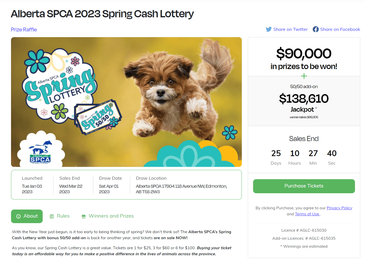 What kind of raffle is right for your charity?