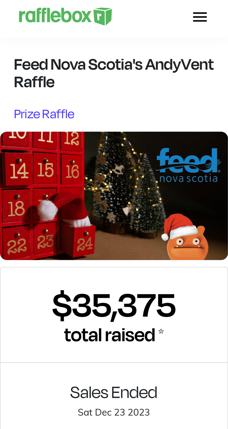 What type of raffle fundraiser should you run?